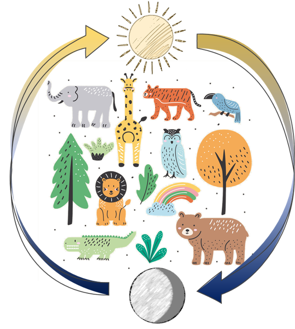 The Animal Welfare Toolbox - Animal Welfare in Practice